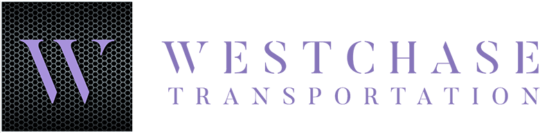 Our Fleet - Westchase Limousine